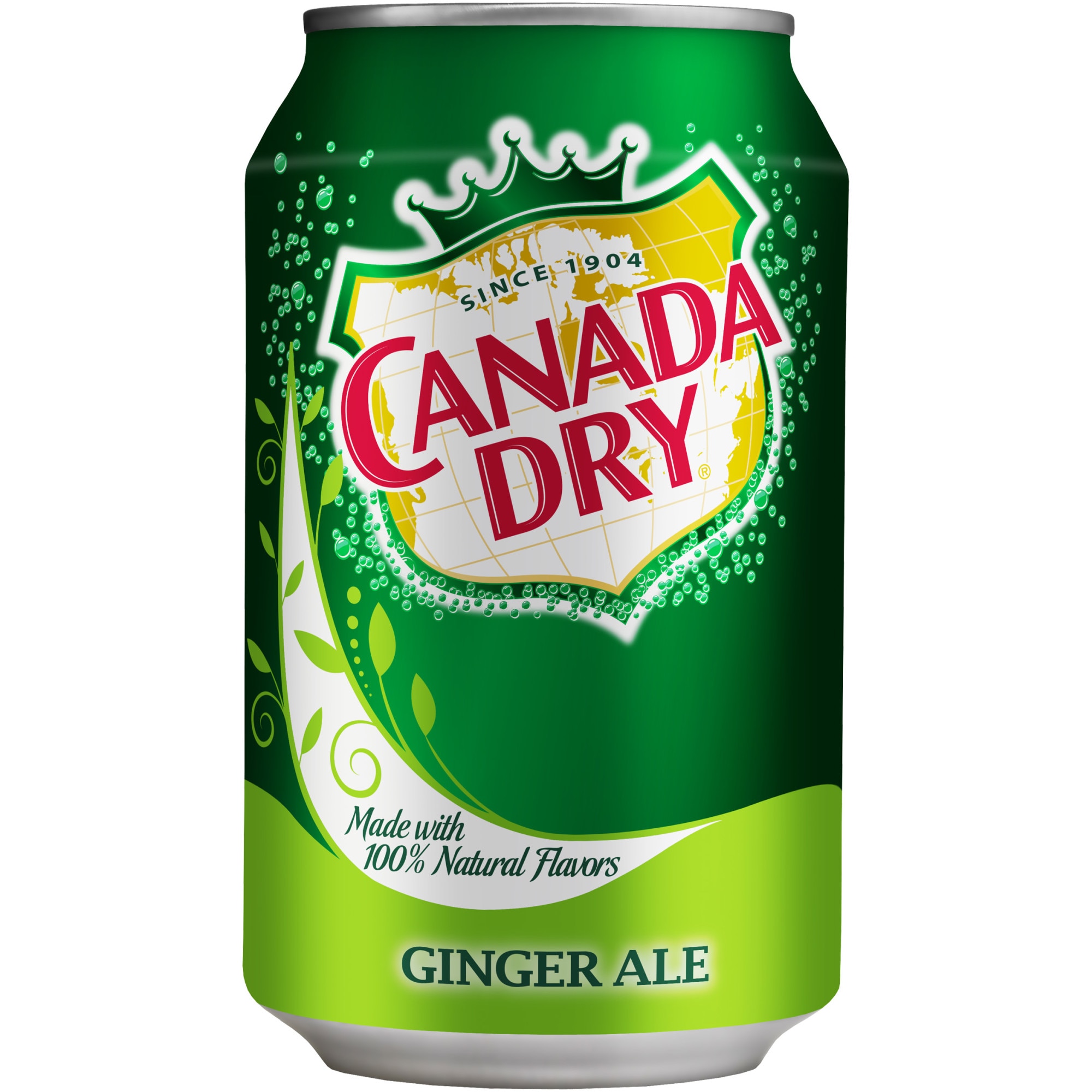 Suc Canada Dry Ginger Ale, Doza, 24x0.33l - eMAG.ro