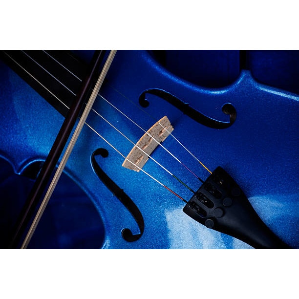 Vioara clasica IdeallStore®, marime 4/4, lemn, albastra, toc din ...