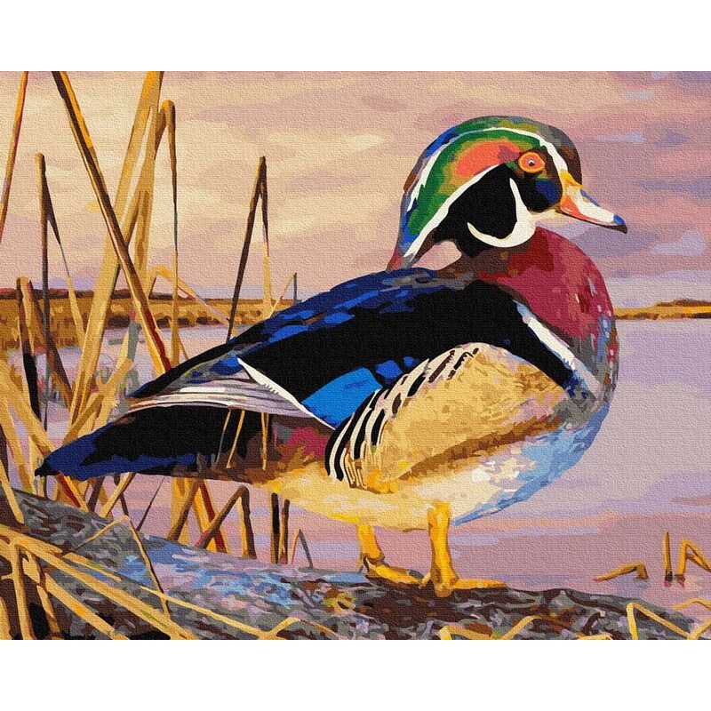 Set pictura pe numere, cu sasiu, Rata salbatica, 40x50 cm - eMAG.ro