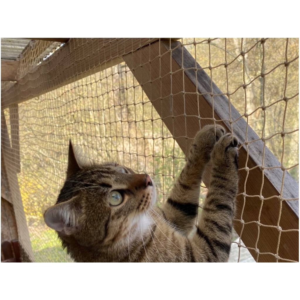 Plasa balcon pentru pisici, Linarem, 5 x 3 m - eMAG.ro