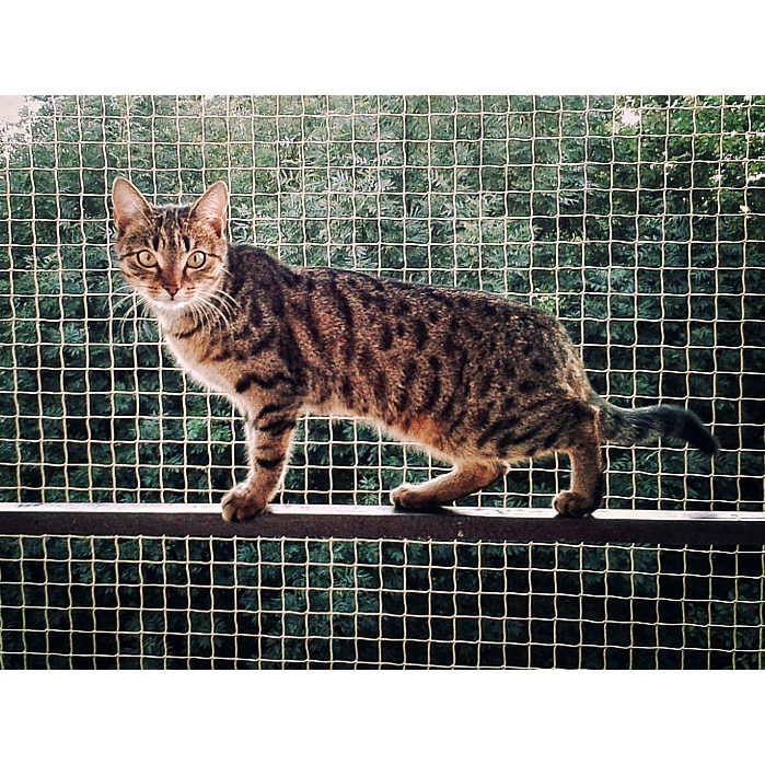 Plasa de protectie pentru balcon, Linarem, 5 x 3 m - eMAG.ro