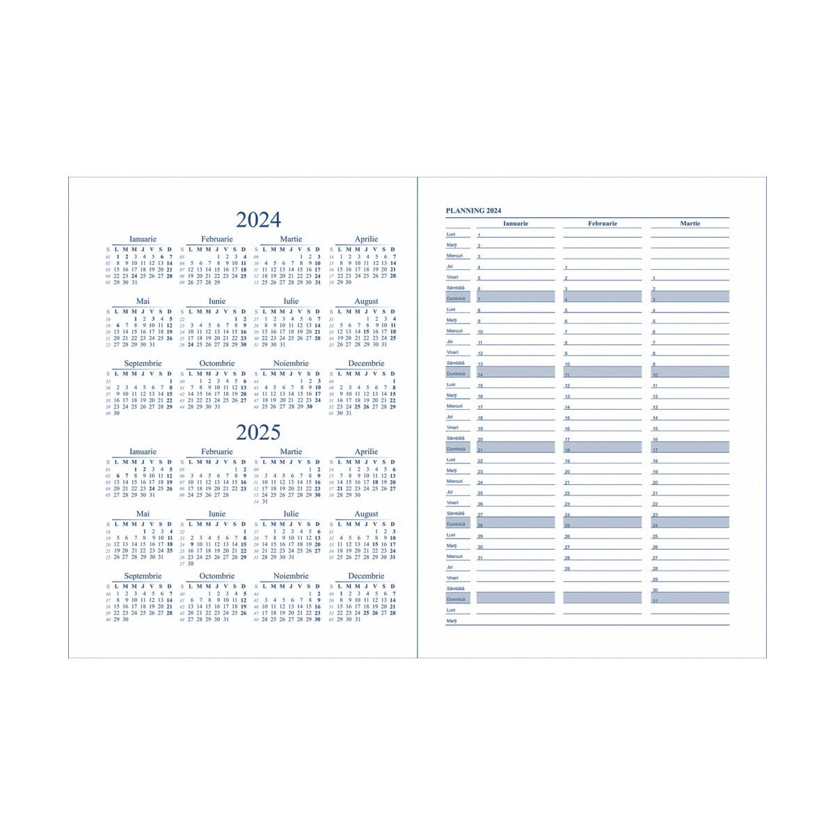 Agenda datata A5 2024, personalizata Medic de exceptie, Inedit Print ...