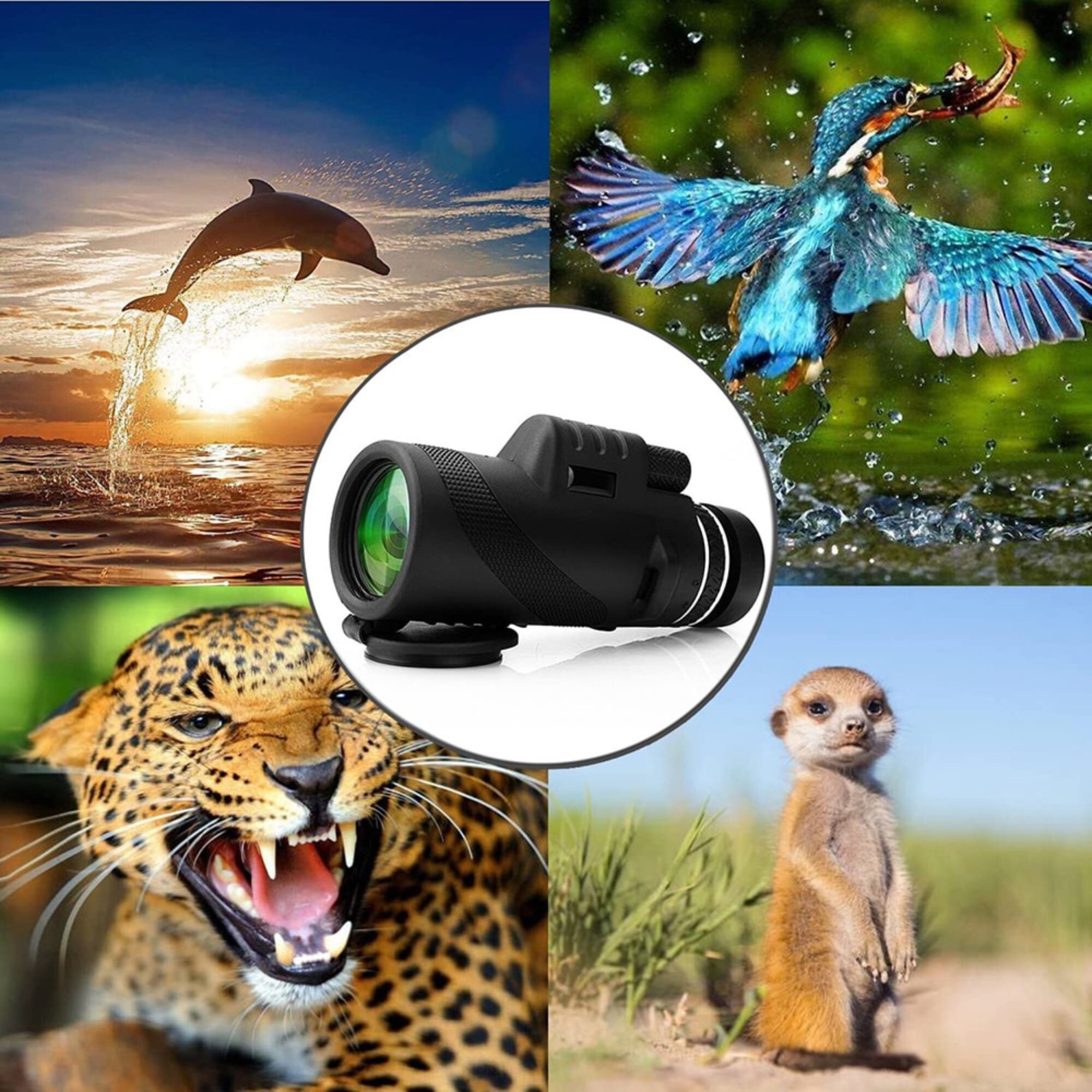 Telescop monoclu cu putere mare si definire ridicata pentru activitati ...