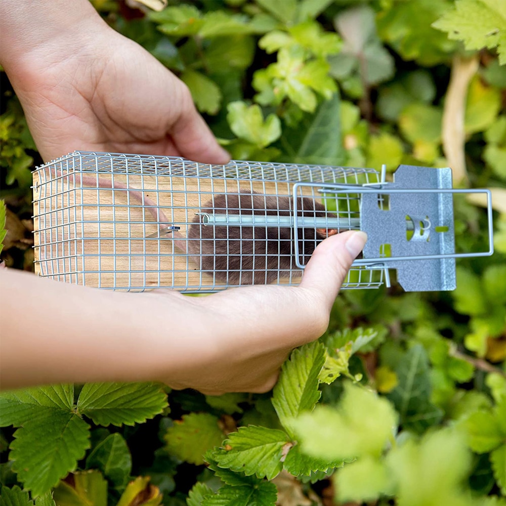 Set 2 capcane pentru soareci, Lemn, Argintiu - eMAG.ro