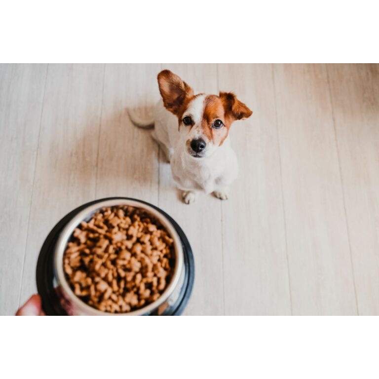 Conserva Caini 4dog 1240g Pui - eMAG.ro