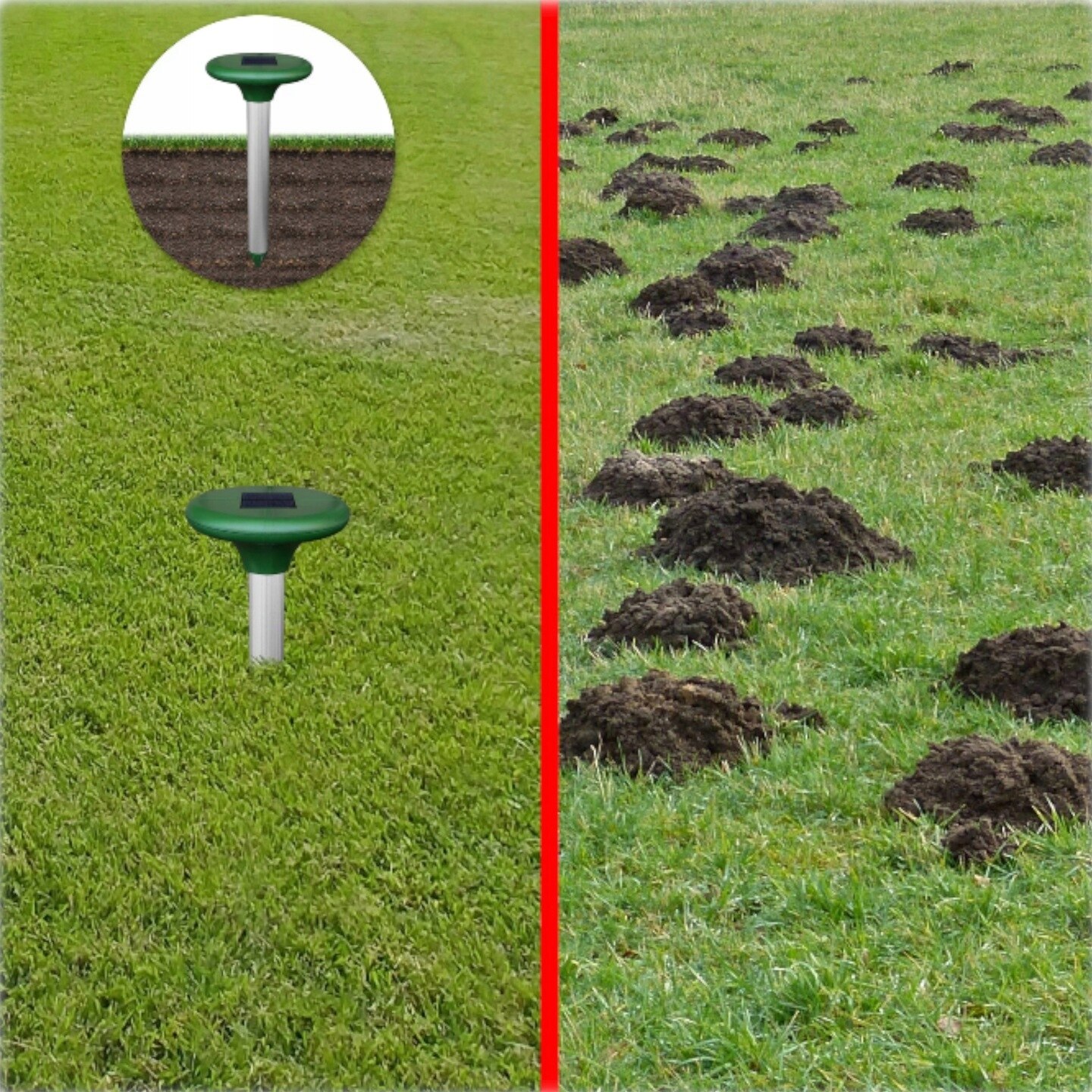 Set de 2 dispozitive cu ultrasunete pentru cartite, 1000m2, Verde - eMAG.ro