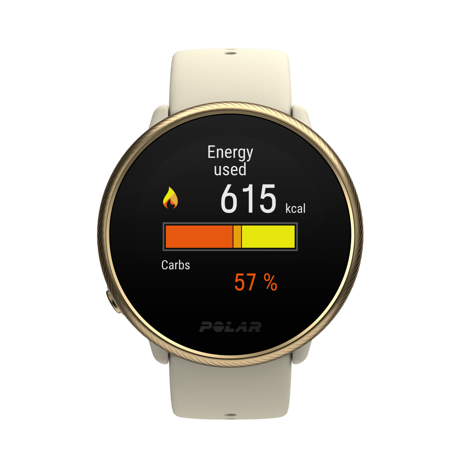 Smartwatch model Ignite 2, POLAR, Otel inoxidabil/Siliciu, 1.2 ...