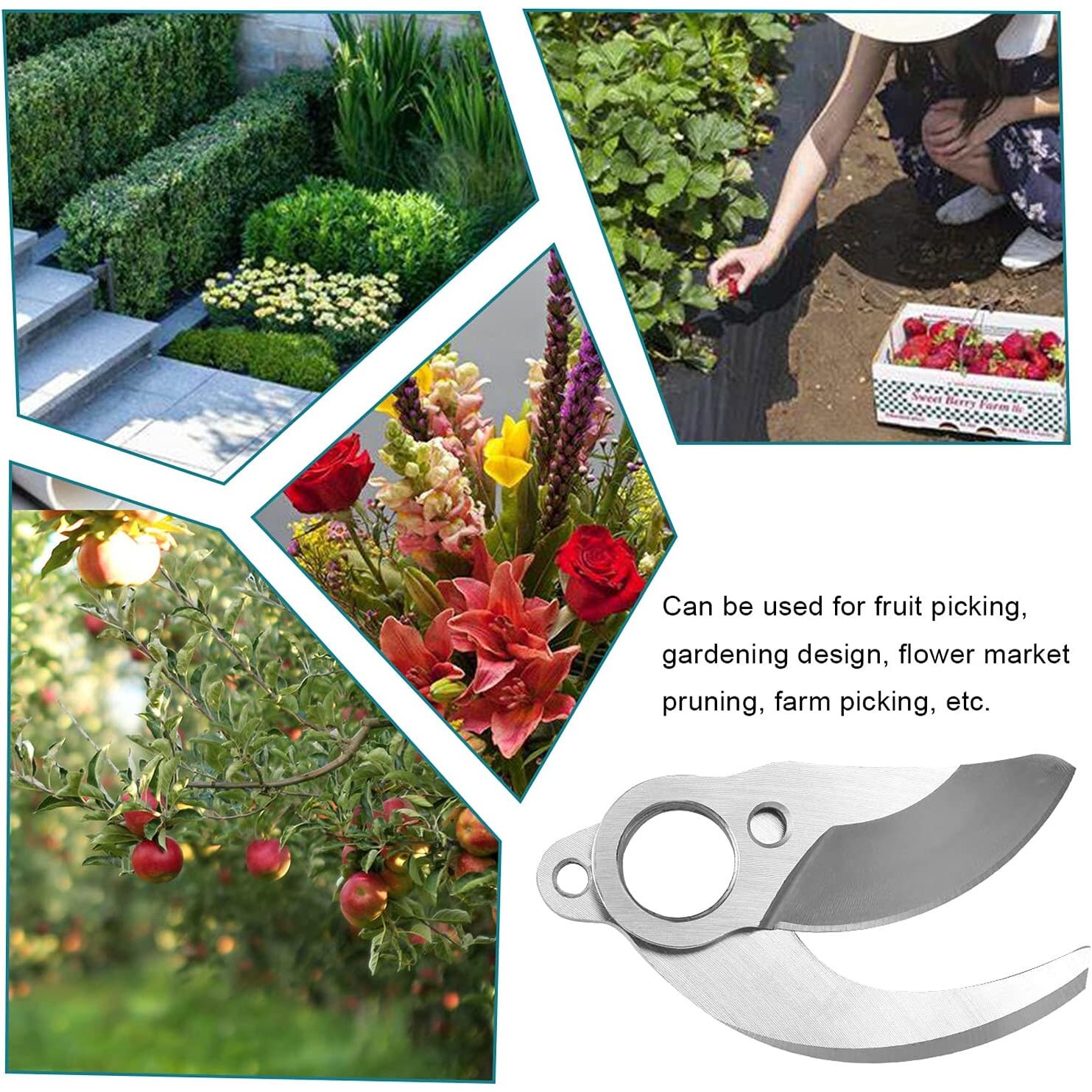 Accesoriu forfecare gradina, Otel carbon, 25 mm, Argintiu - eMAG.ro