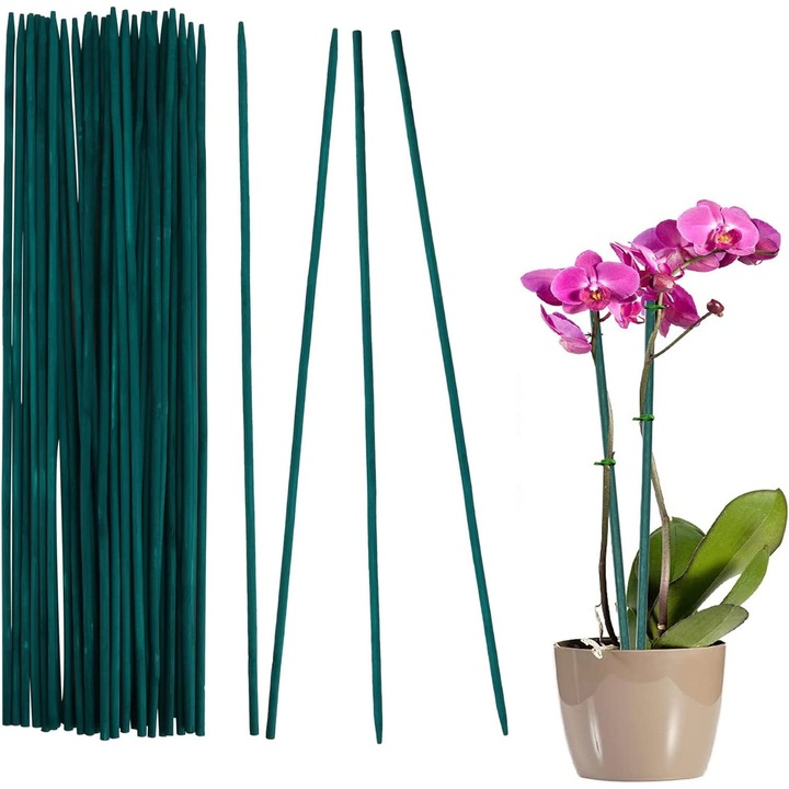 Set 30 suporturi sustinere plante, Lemn, 38 cm, Verde - eMAG.ro