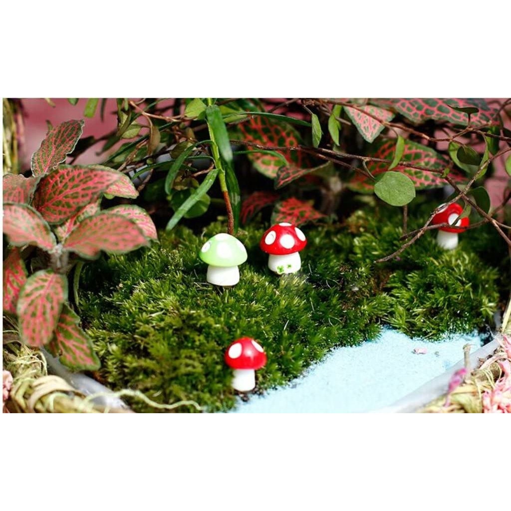 Set 20 ciuperci decorative pentur gradina, Rasina, Rosu/Alb - eMAG.ro