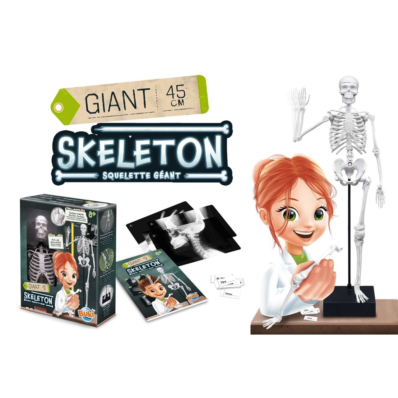 Schelet Gigant 45 cm - Anatomie pentru copii - eMAG.ro