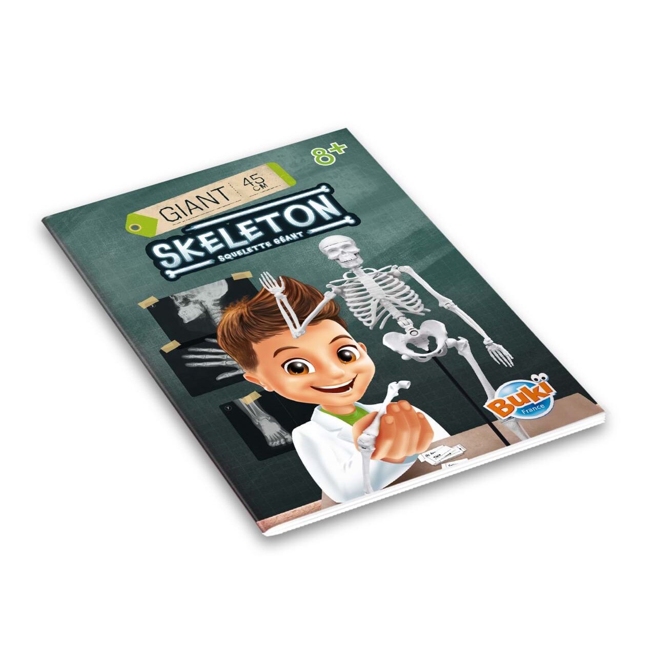 Schelet Gigant 45 cm - Anatomie pentru copii - eMAG.ro