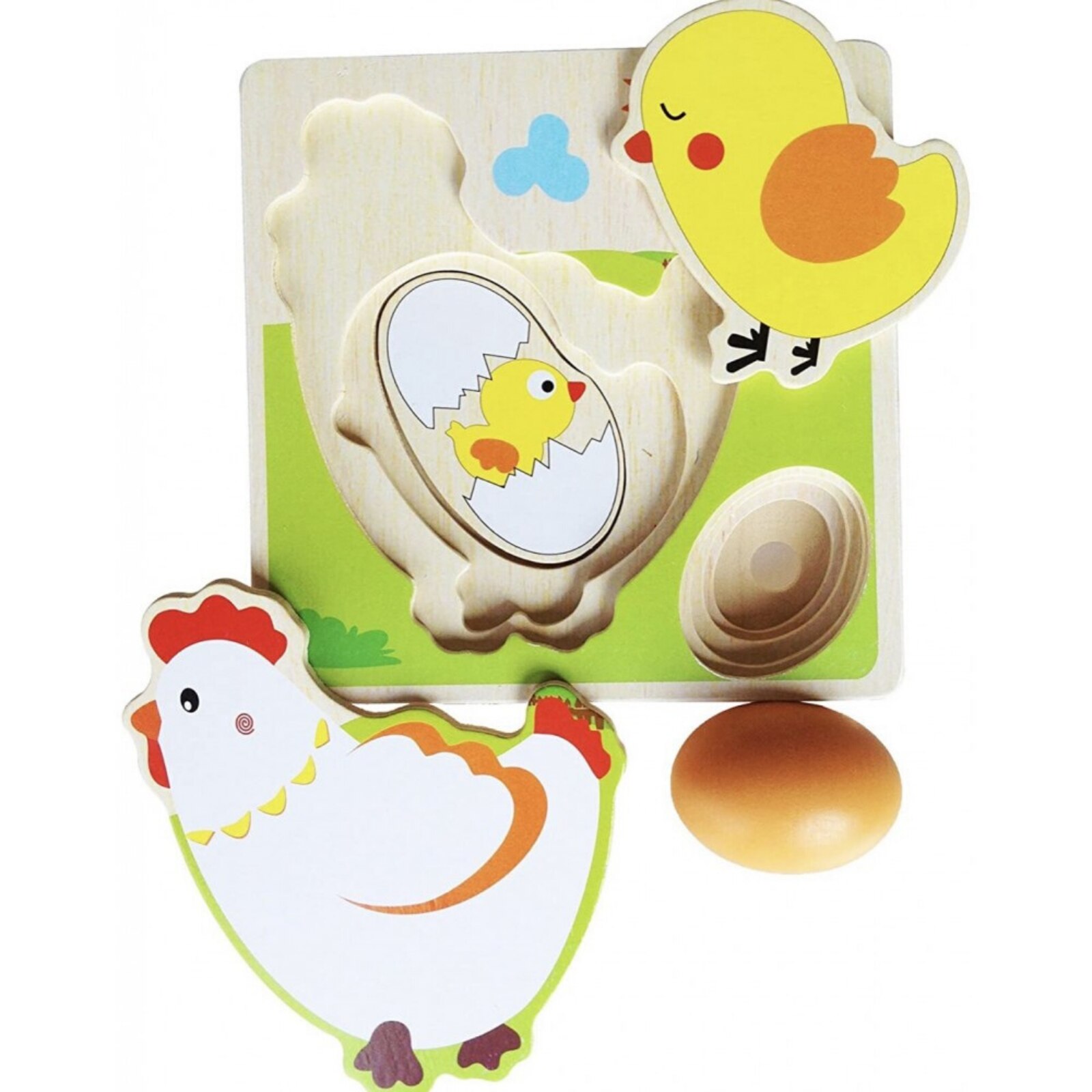 Puzzle din lemn model montessori Ciclul de viata al pasarii de la ou la ...