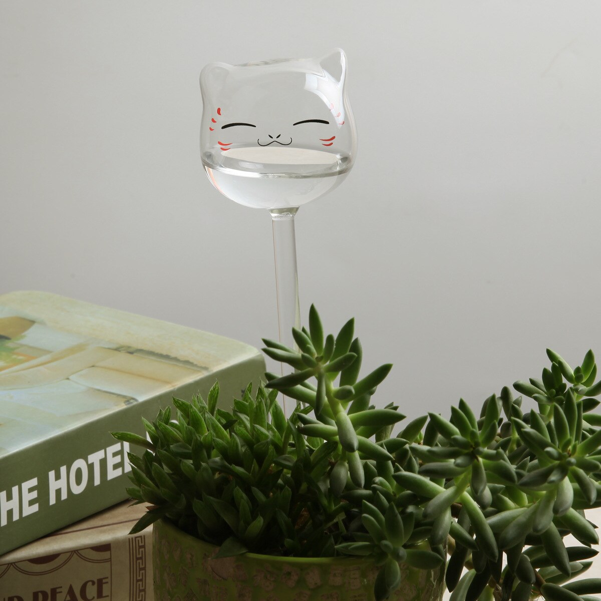 Set 3 picuratoare pentru ghiveci, Pisicuta, Sticla, Transparent - eMAG.ro
