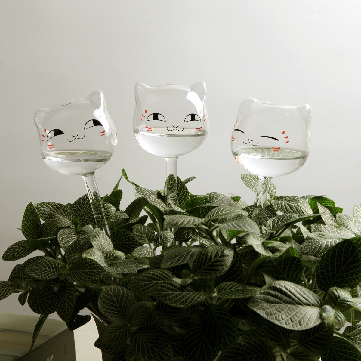 Set 3 picuratoare pentru ghiveci, Pisicuta, Sticla, Transparent - eMAG.ro