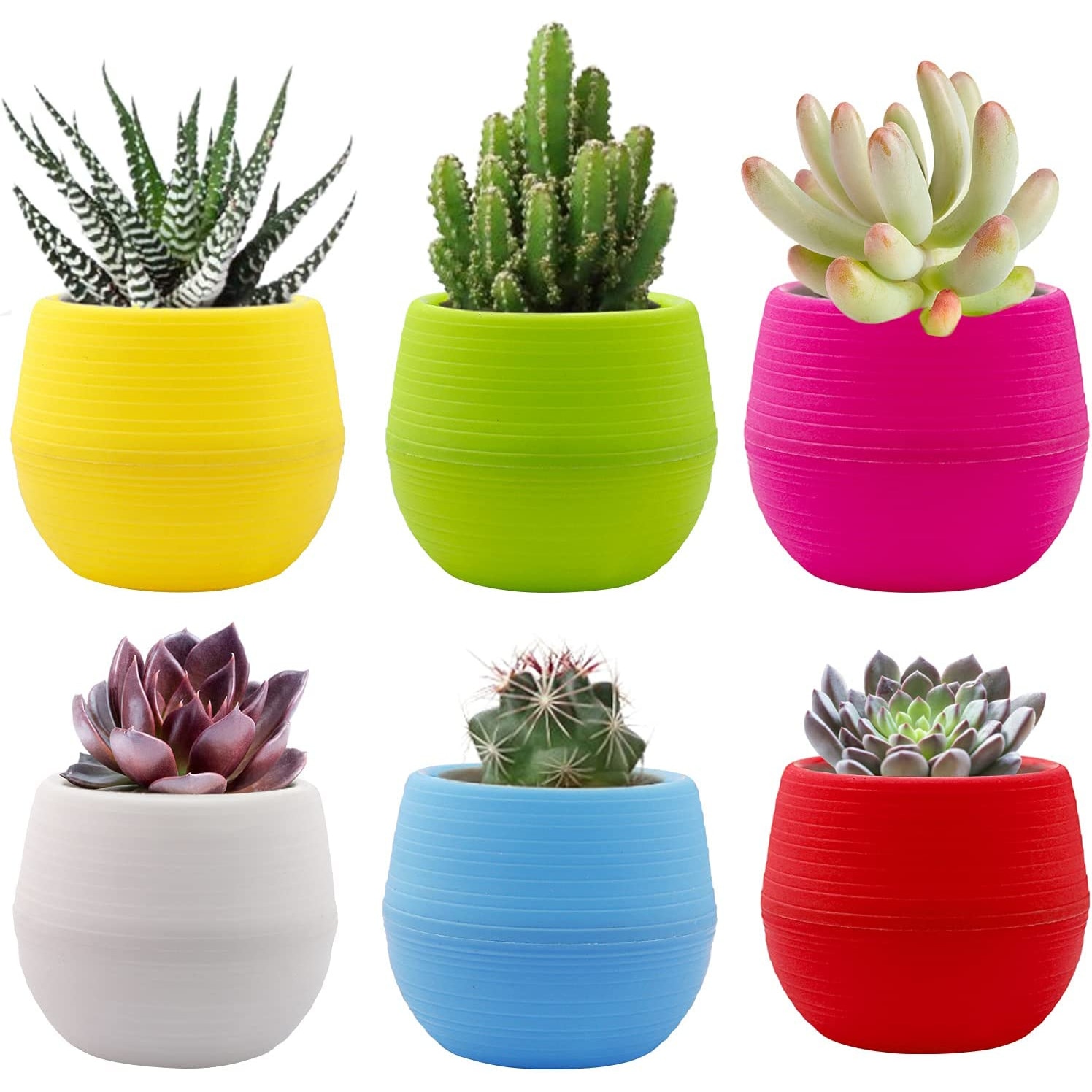 Set 6 ghivece, Plastic, 7cm, Multicolor - eMAG.ro