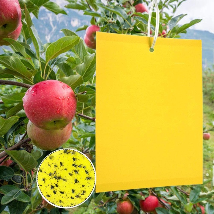 Set 50 capcane pentru insecte/Hartie lipicioasa cu doua fete, 15x20 cm ...