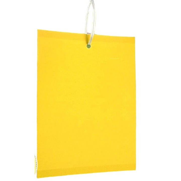 Set 50 capcane pentru insecte/Hartie lipicioasa cu doua fete, 15x20 cm ...