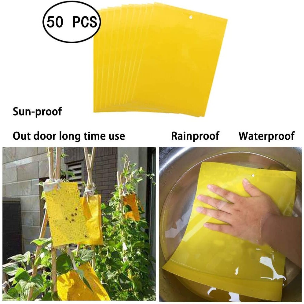 Set 50 capcane pentru insecte/Hartie lipicioasa cu doua fete, 15x20 cm ...