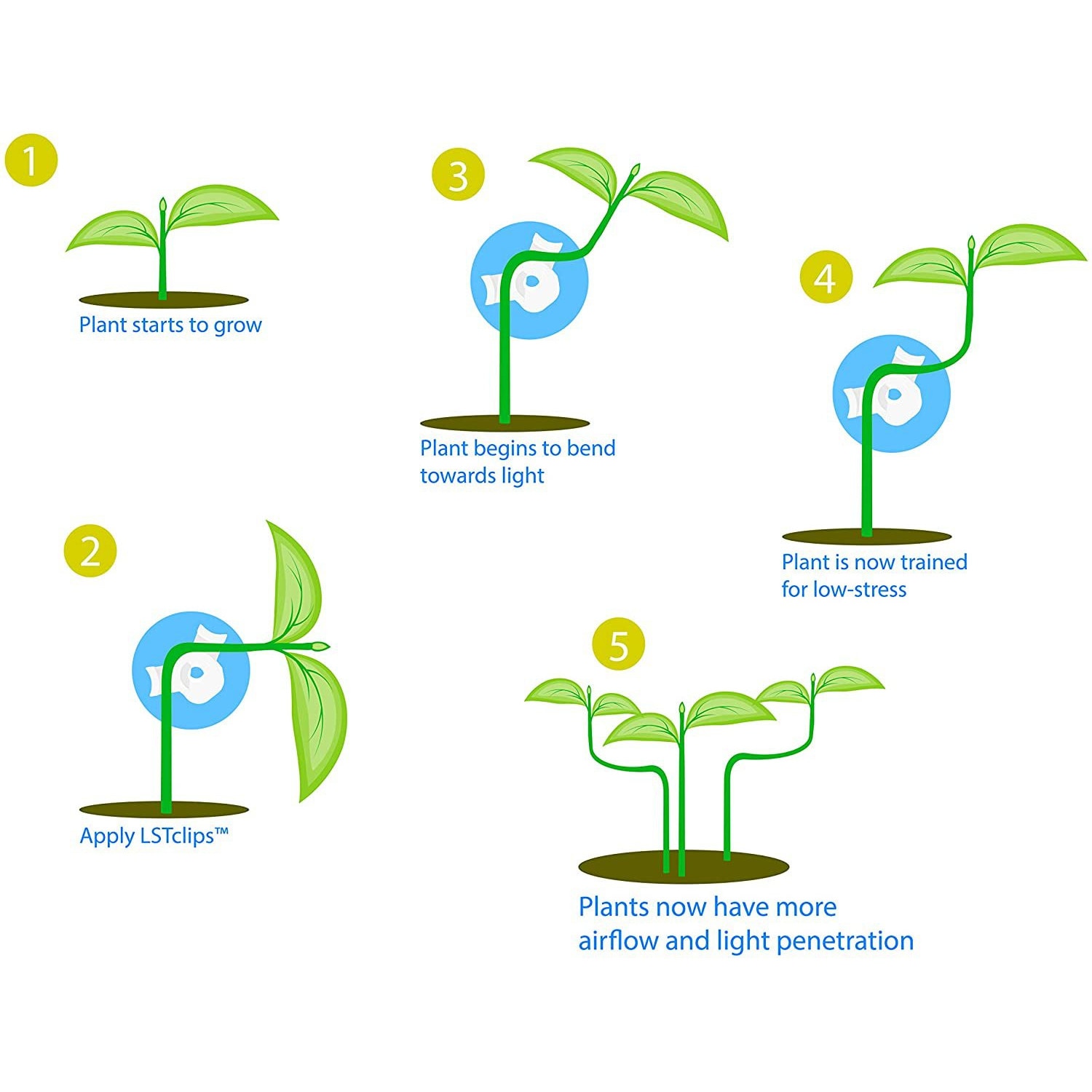 Set 10 cleme pentru plante, Plastic, Alb - eMAG.ro