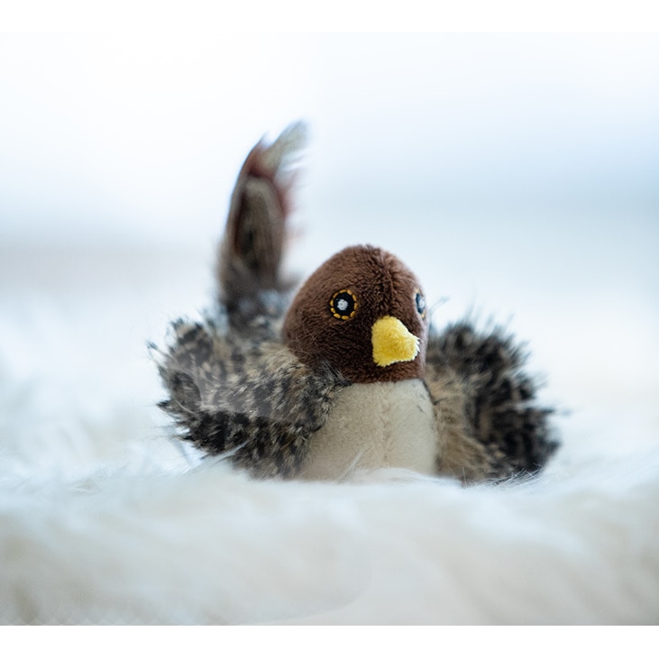 Jucarie cu sunete pentru pisici, Pasare, Maro - eMAG.ro