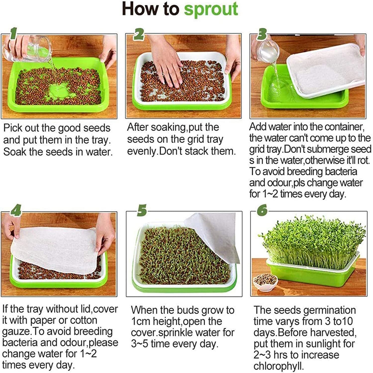 Tava germinare rasaduri, Plastic, Verde - eMAG.ro