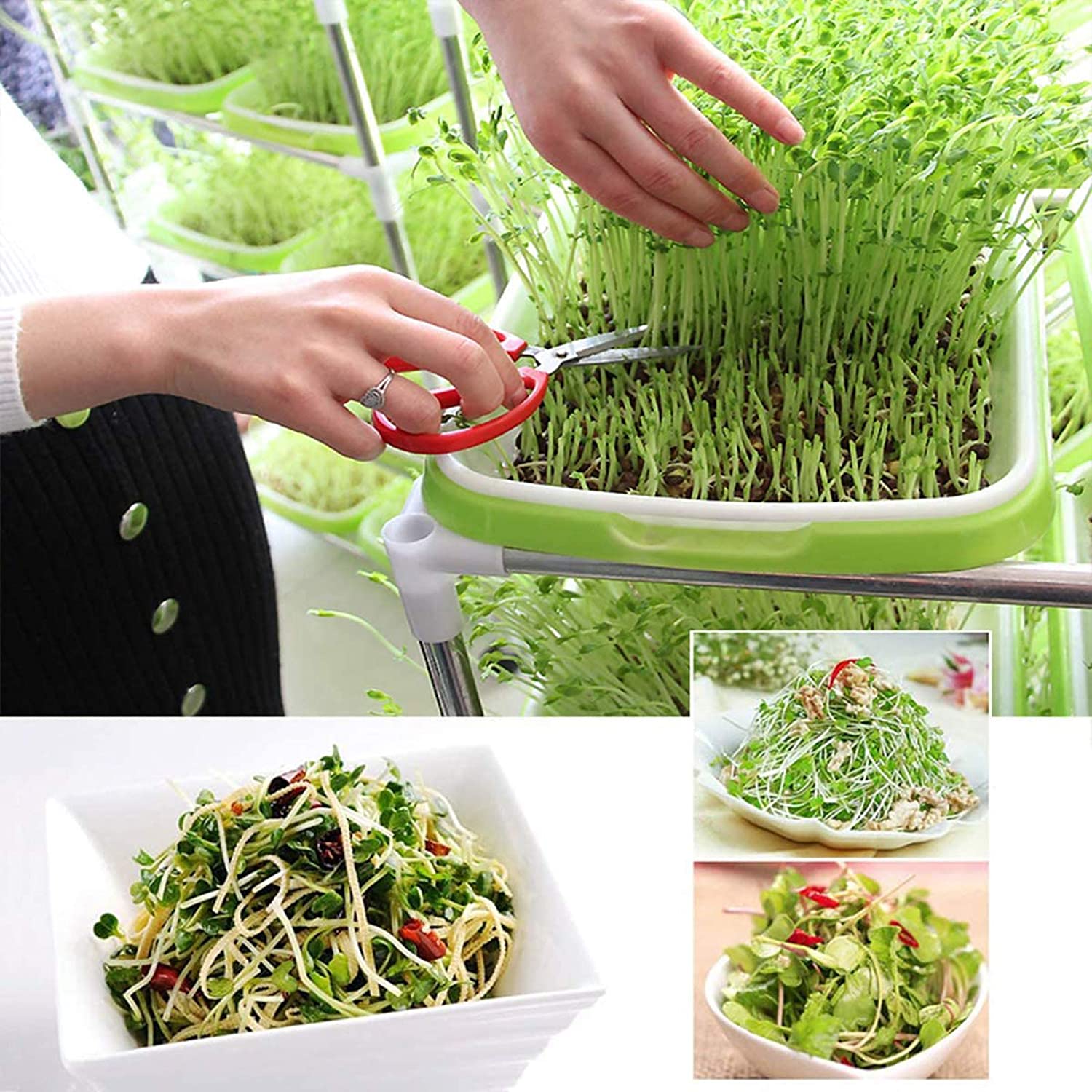 Tava germinare rasaduri, Plastic, Verde - eMAG.ro