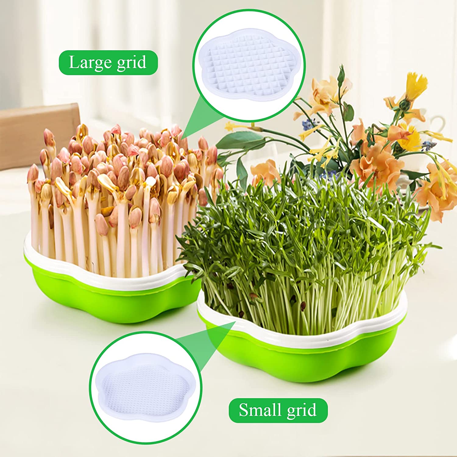 Set 4 tavi pentru germinare, Plastic, Multicolor - eMAG.ro