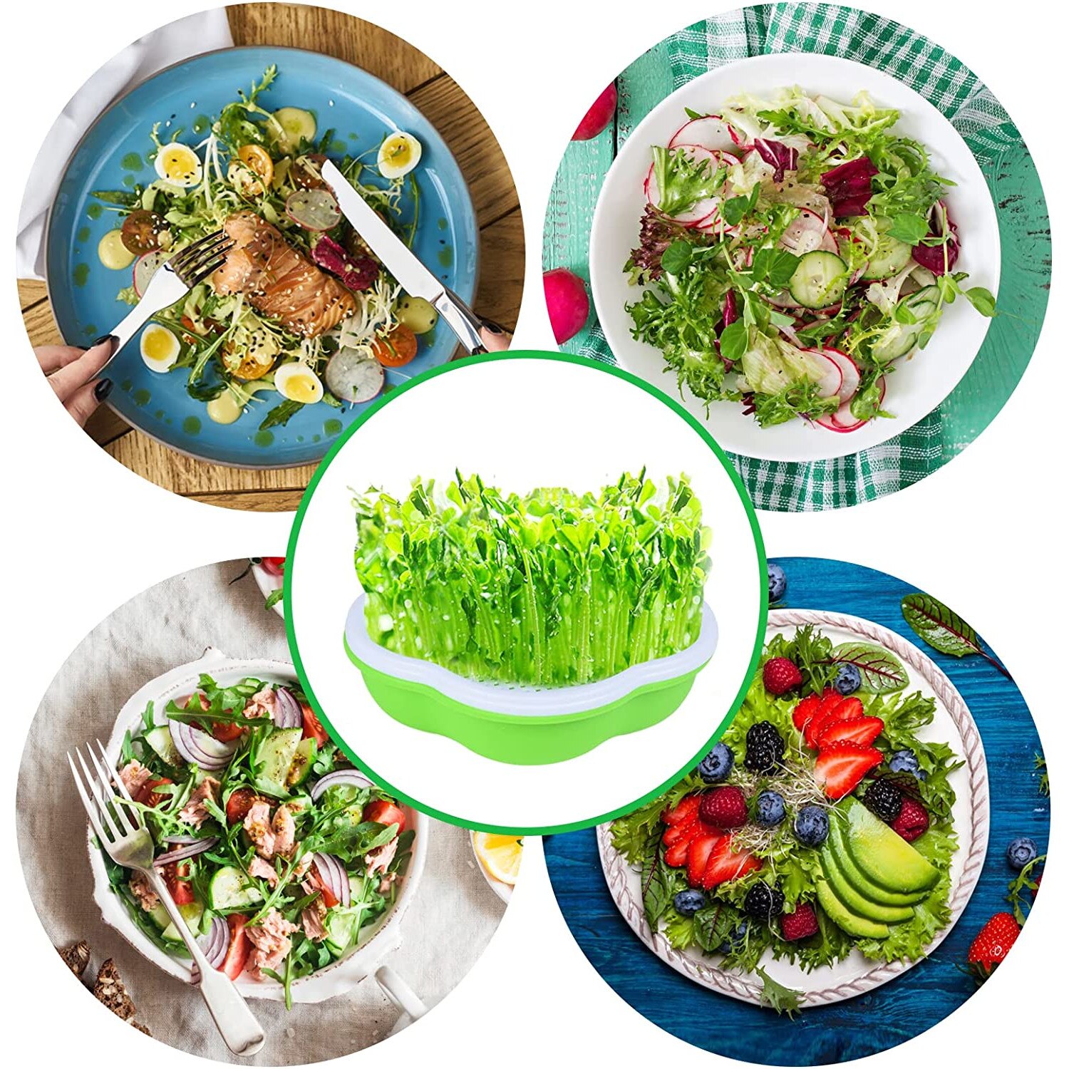 Set 4 tavi pentru germinare, Plastic, Multicolor - eMAG.ro