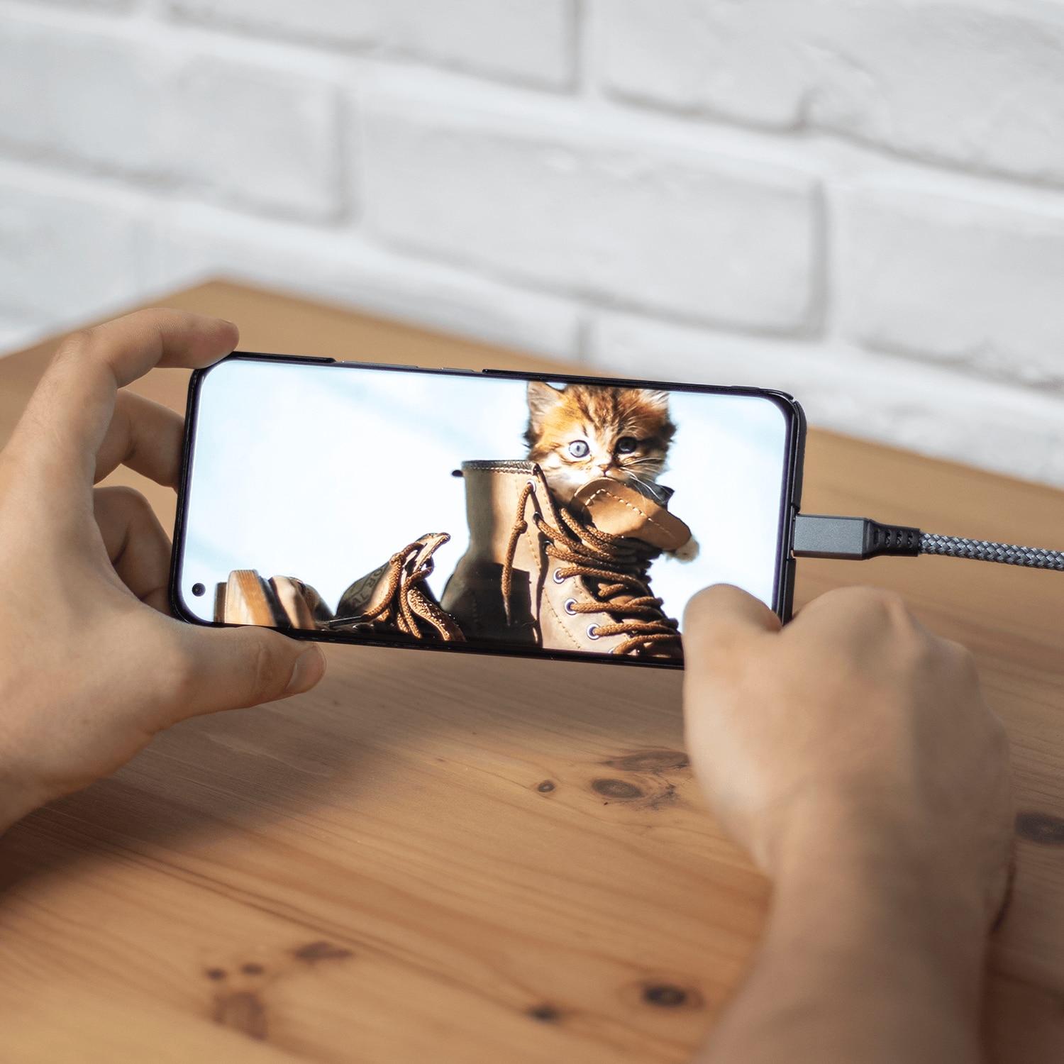 Adaptor USB-C USB 3.1 OTG pentru Smartphone, Tablet, Laptop Reagle ...