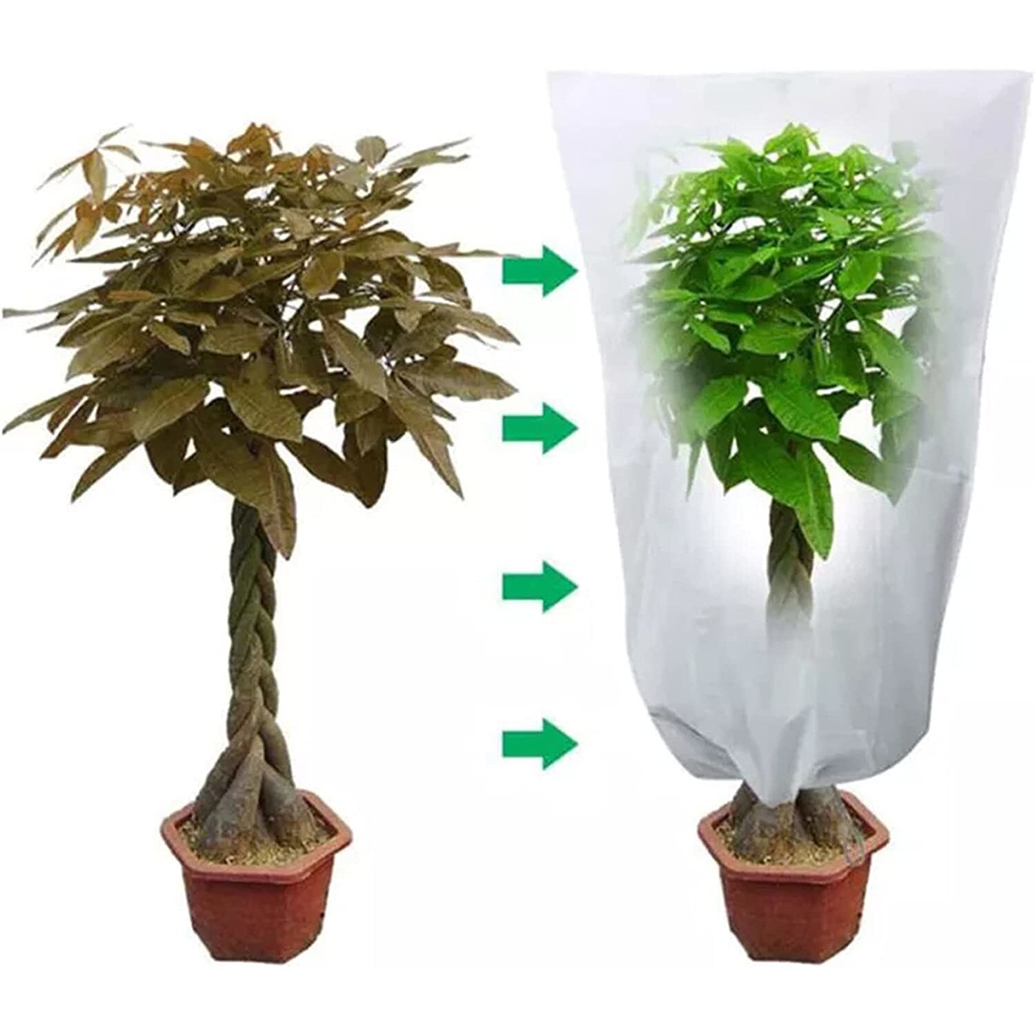 Protectie plante, Material textil, 100x180 cm, Alb - eMAG.ro