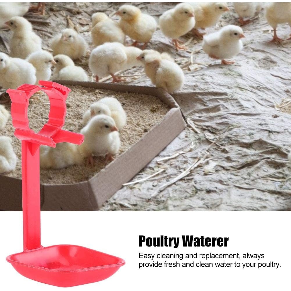 Adapatoare pui/gaini, Plastic, 5 buc, Rosu - eMAG.ro