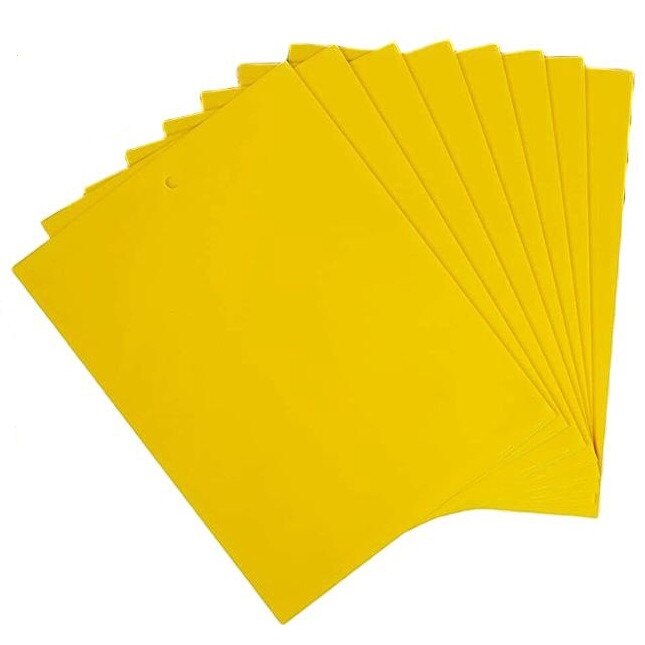 Set 10 capcane insecte, Cu adeziv, 15 x 20 cm, Galben - eMAG.ro