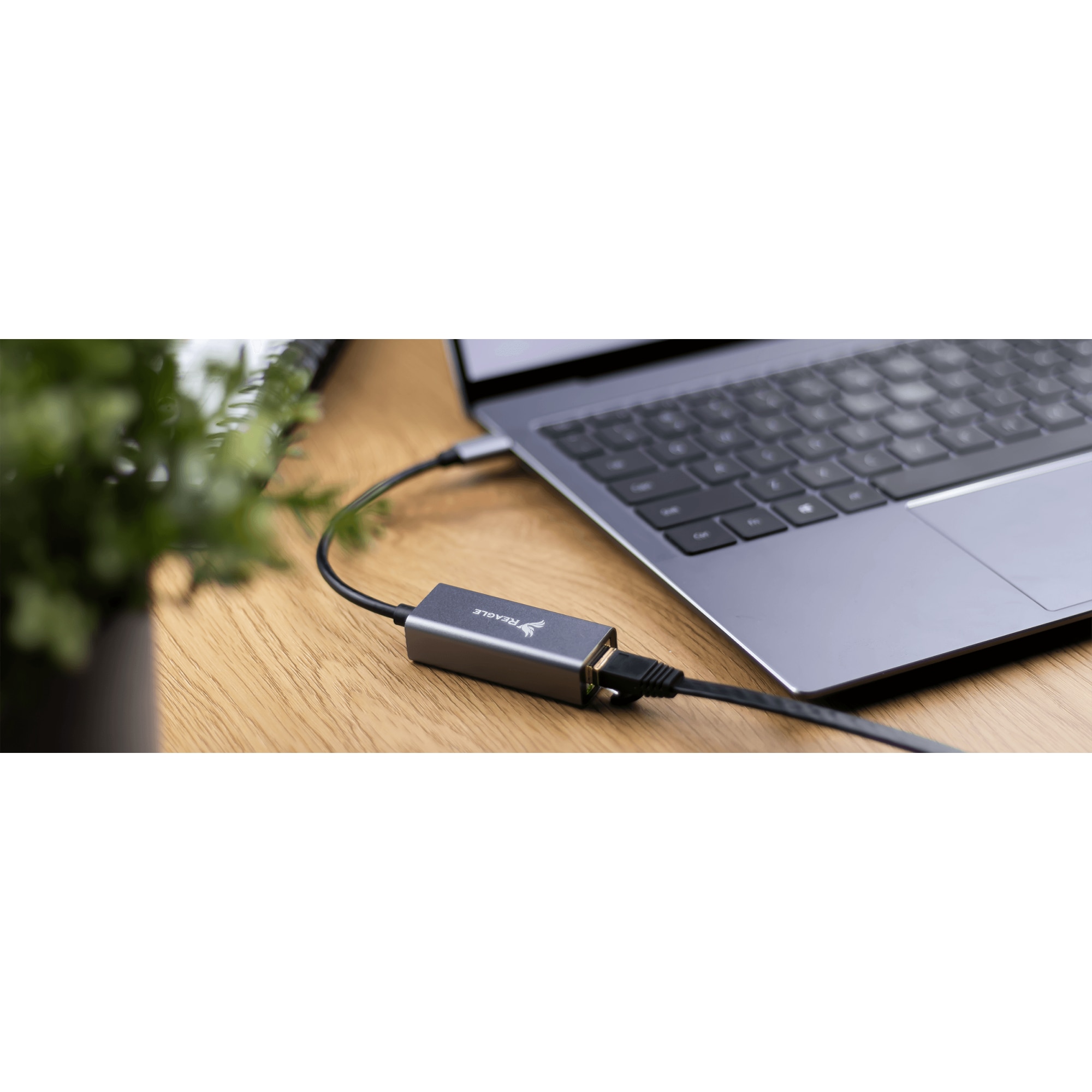 Placa de retea USB C Ethernet Gigabit, Reagle USB-C 3.1 la RJ45 ...