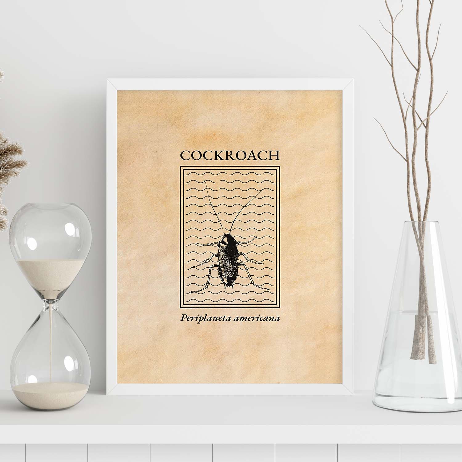 Poster Nacnic, Cockroach, A4, Bej/Negru - eMAG.ro