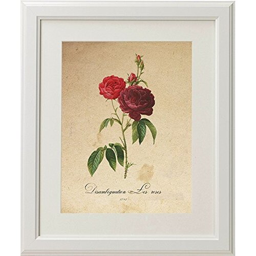 Set 3 tablouri cu rama, Images Of Botany, A3, Alb - eMAG.ro