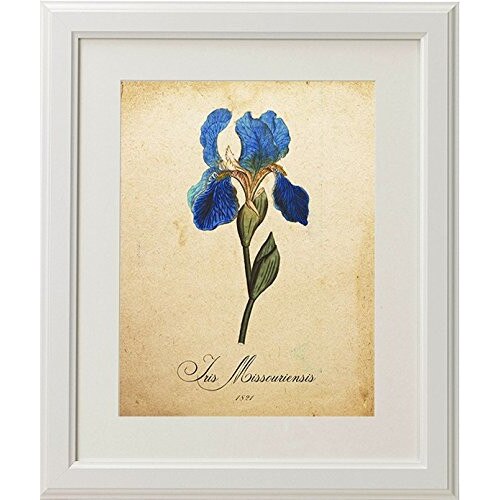 Set 3 tablouri cu rama, Images Of Botany, A4, Alb - eMAG.ro