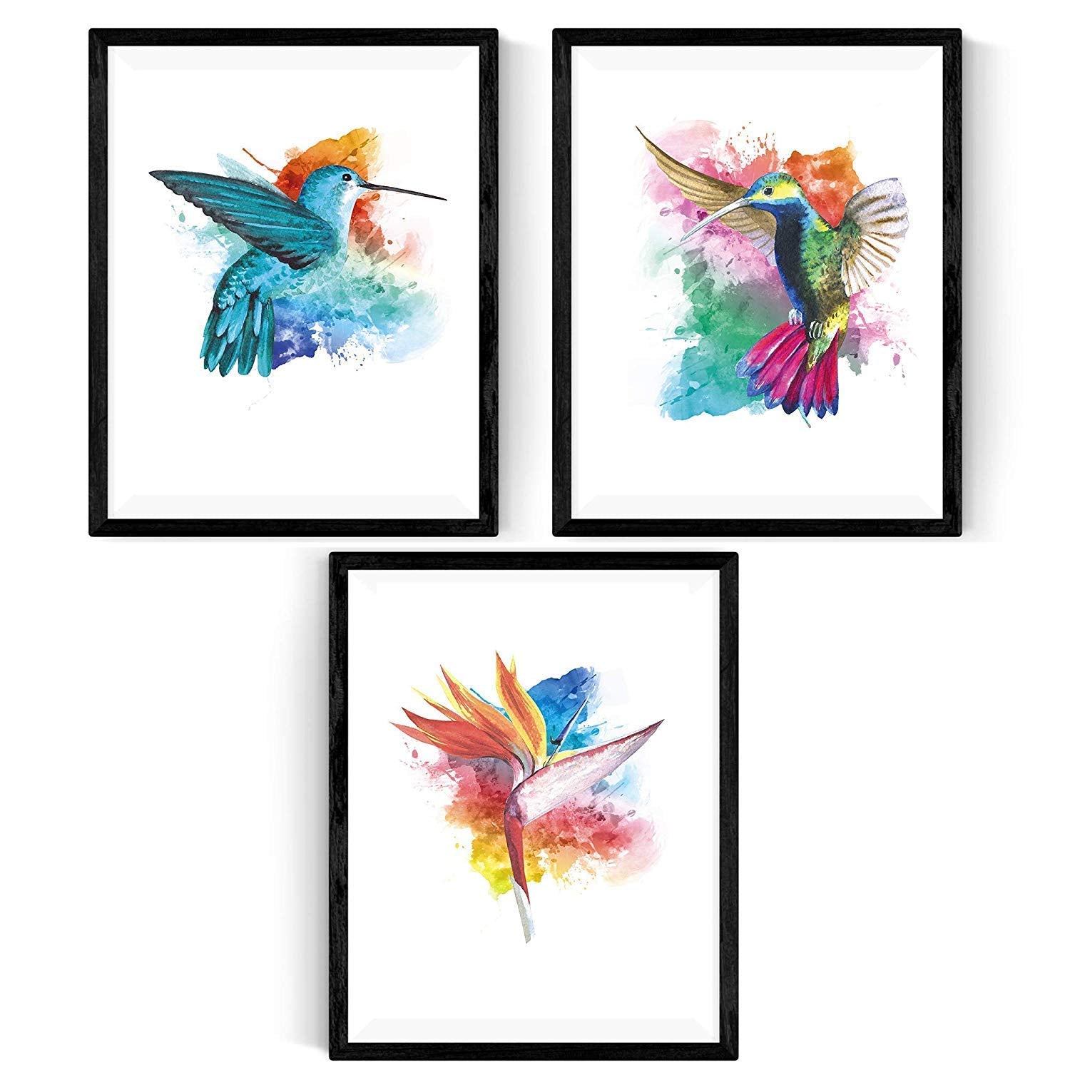 Set 3 tablouri Nacnic, Pasari, Rama neagra, I9-2H-3-A4-CM-BLACK - eMAG.ro