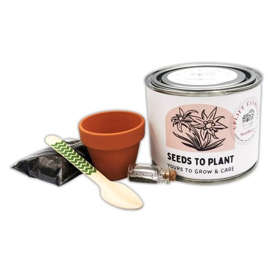Kit de plantare flori, cu seminte de Floare de colt - eMAG.ro
