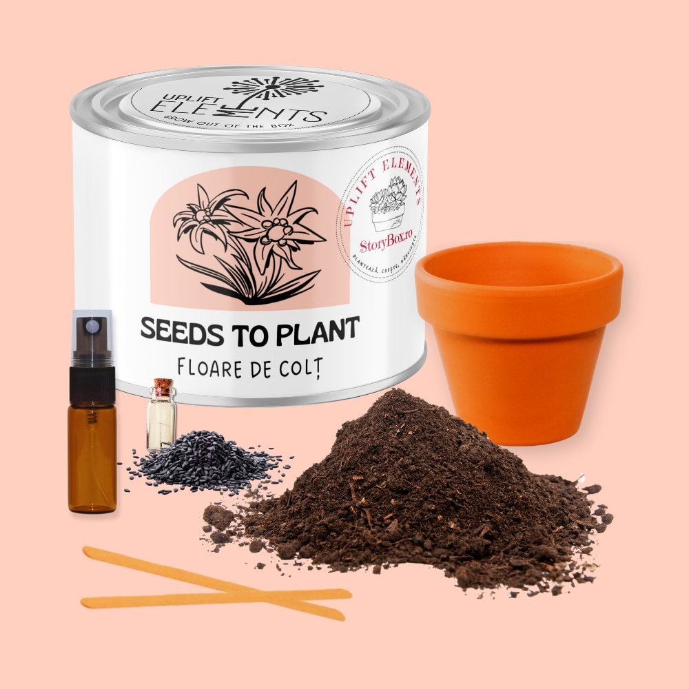 Kit de plantare flori, Uplift Elements cu seminte de Floare de colt si ...