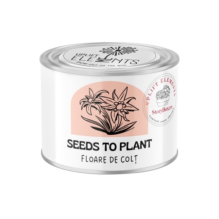 Kit de plantare flori, Uplift Elements cu seminte de Floare de colt si ...