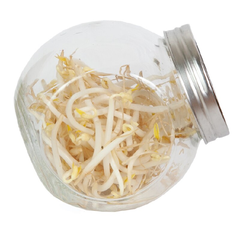 Borcan pentru obtinerea germenilor, seminte Fasole Mung, plic 10gr ...