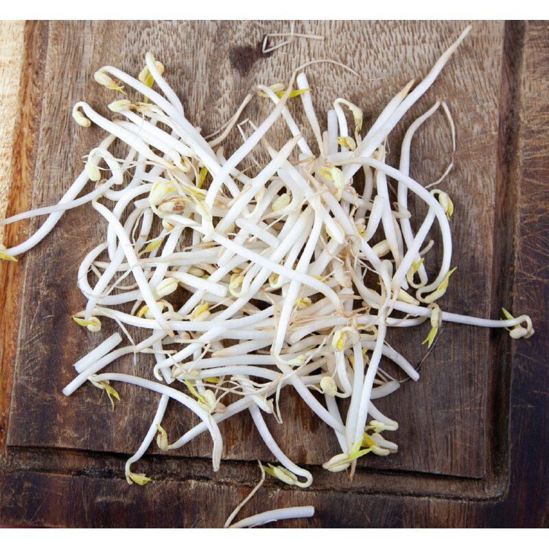 Borcan pentru obtinerea germenilor, seminte Fasole Mung, plic 10gr ...