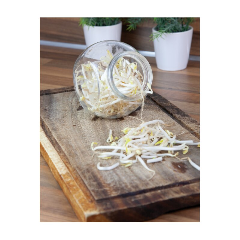 Borcan pentru obtinerea germenilor, seminte Fasole Mung, plic 10gr ...