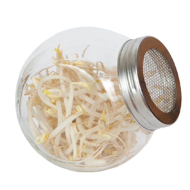 Borcan pentru obtinerea germenilor, seminte Fasole Mung, plic 10gr ...