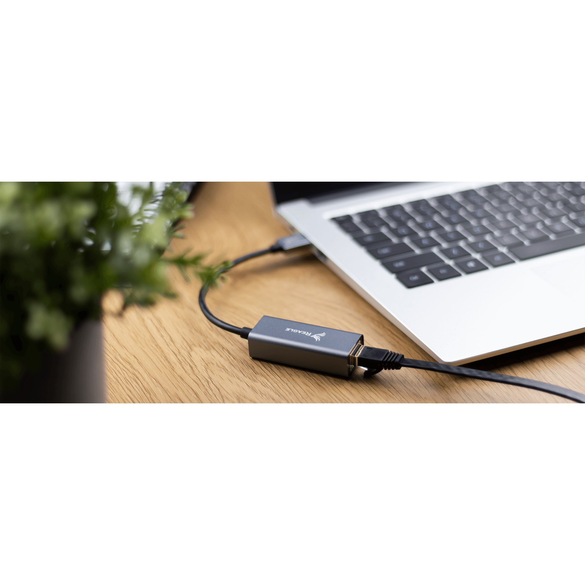 Placa de retea USB Ethernet Gigabit, Reagle USB 3.1 la RJ45, Aluminiu ...