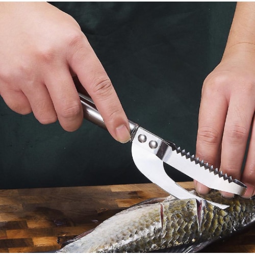 Dispozitiv Pentru Curatat Solzi De Peste - eMAG.ro