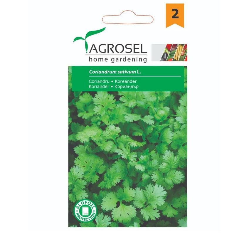 Pachet Biodiversitate Gazon cu Flori 1kg, Musetel 2g, Cimbru 1g ...