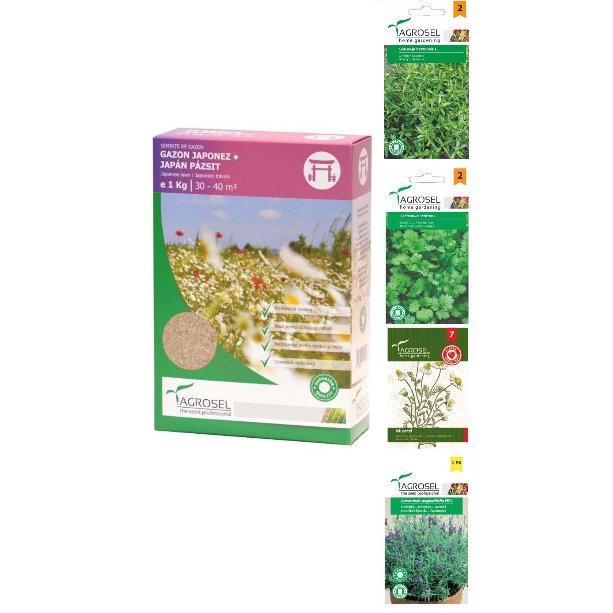 Pachet Biodiversitate GAZON JAPONEZ 1KG, Cimbru 1g, Coriandru 2g ...