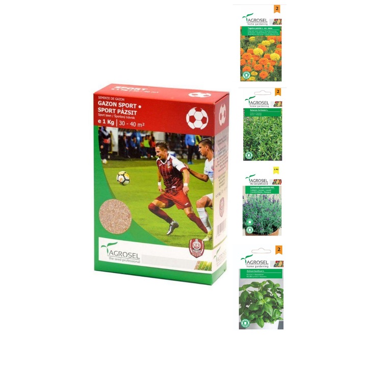 Pachet Biodiversitate GAZON SPORT 1KG, Craite pitice 1g, Cimbru 1g ...